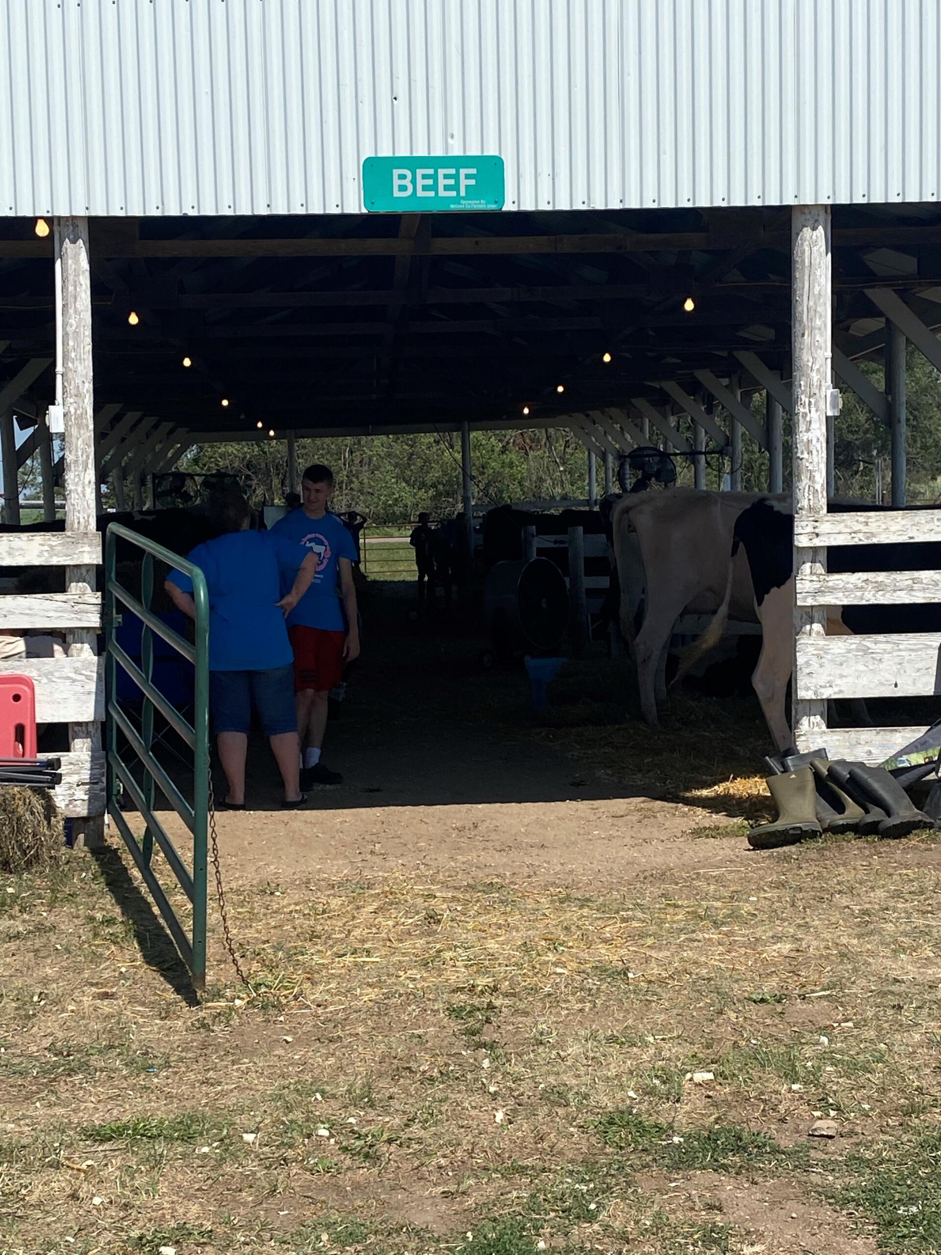 McCook County 4-H Achievement Days 2022 - Mitchell Now