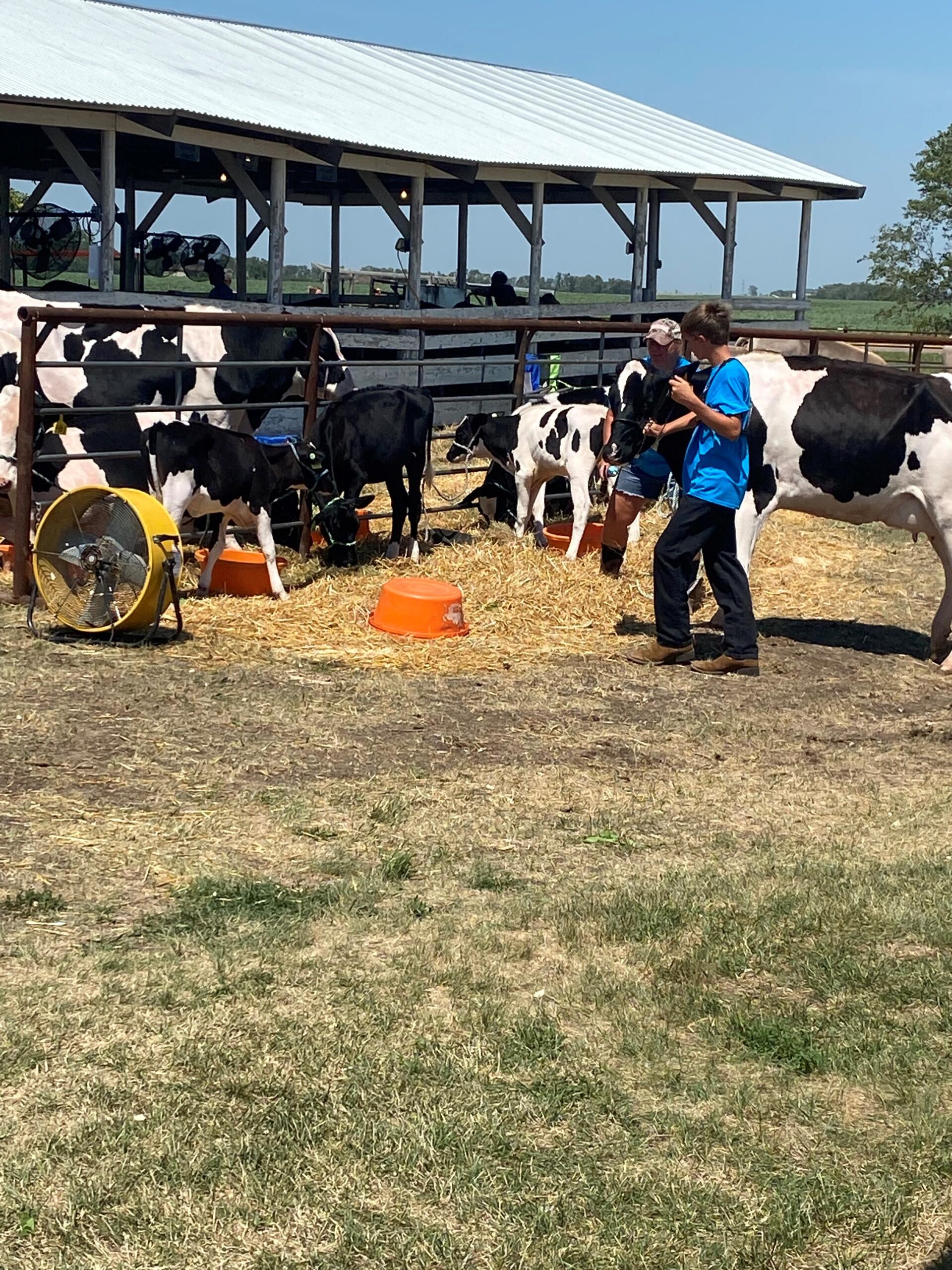McCook County 4-H Achievement Days 2022 - Mitchell Now