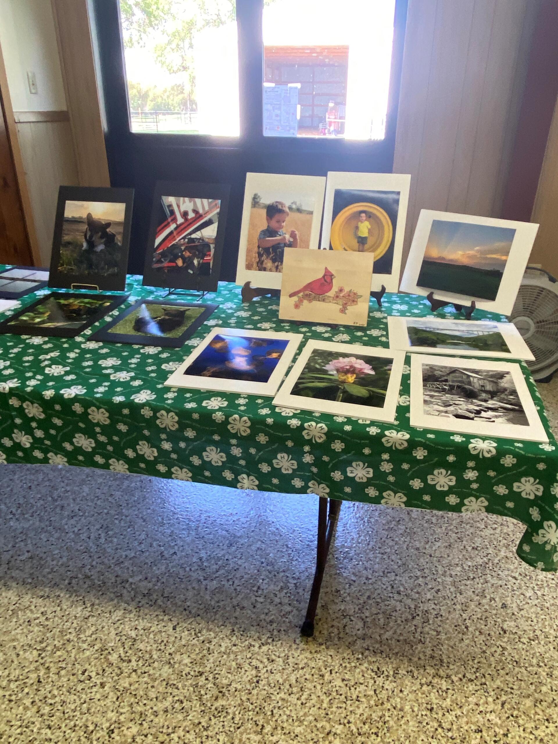 Douglas County 4-H Achievement Days 2023 | KMIT 105.9 FM