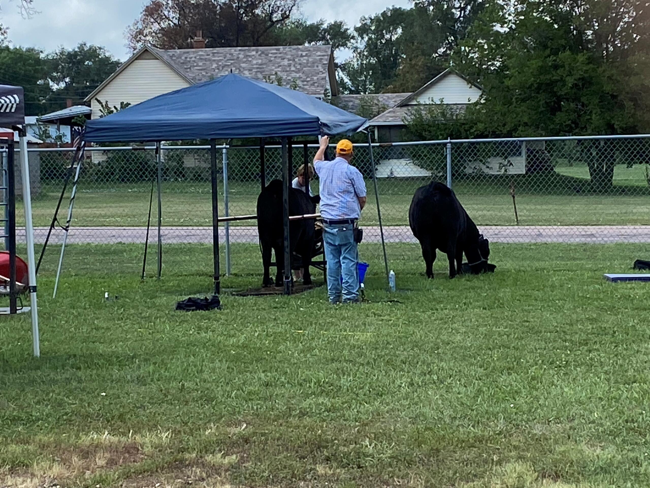 Hutchinson County Fair 2023 - Mitchell Now