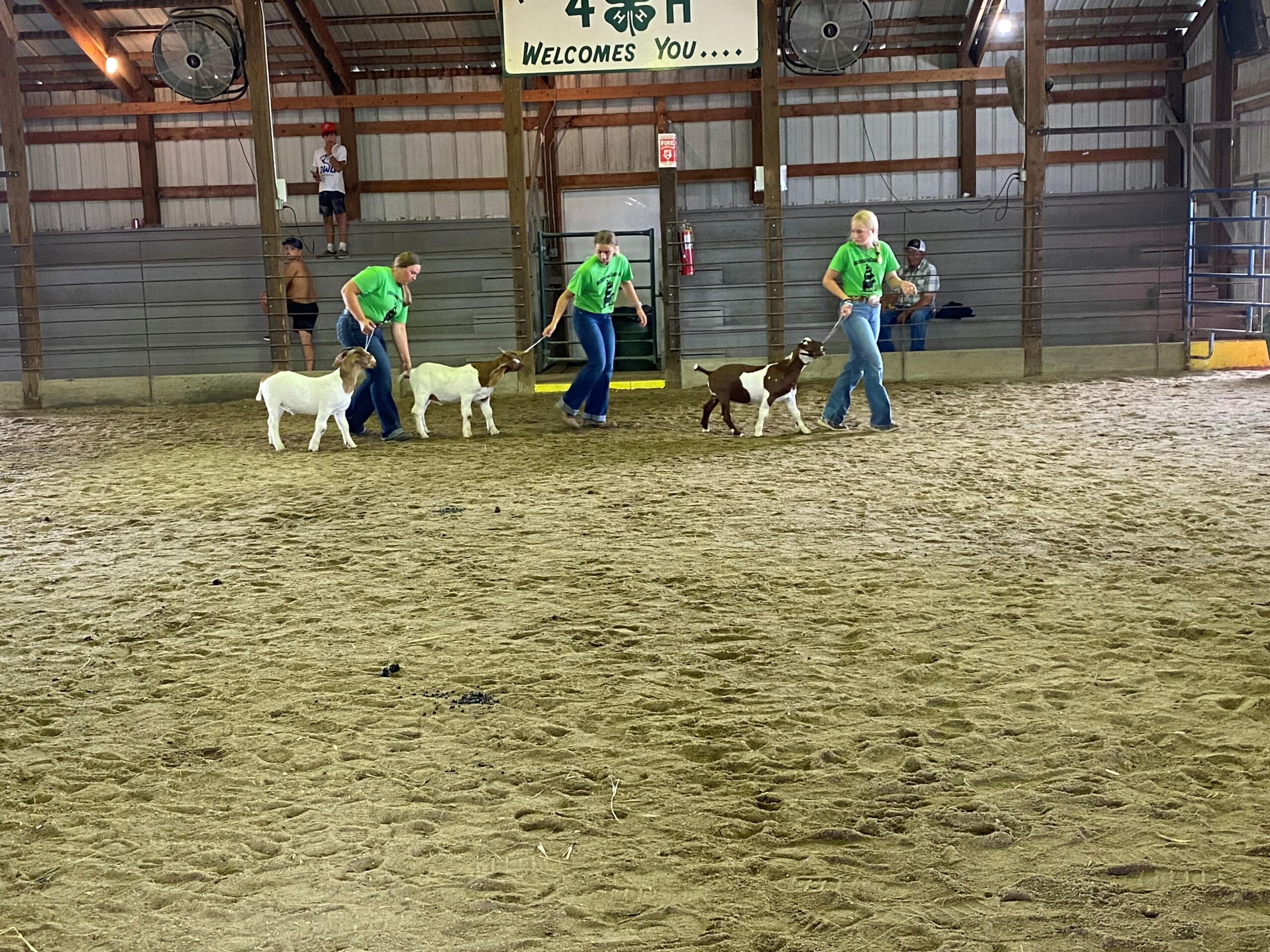 Hutchinson County Fair 2023 - Mitchell Now