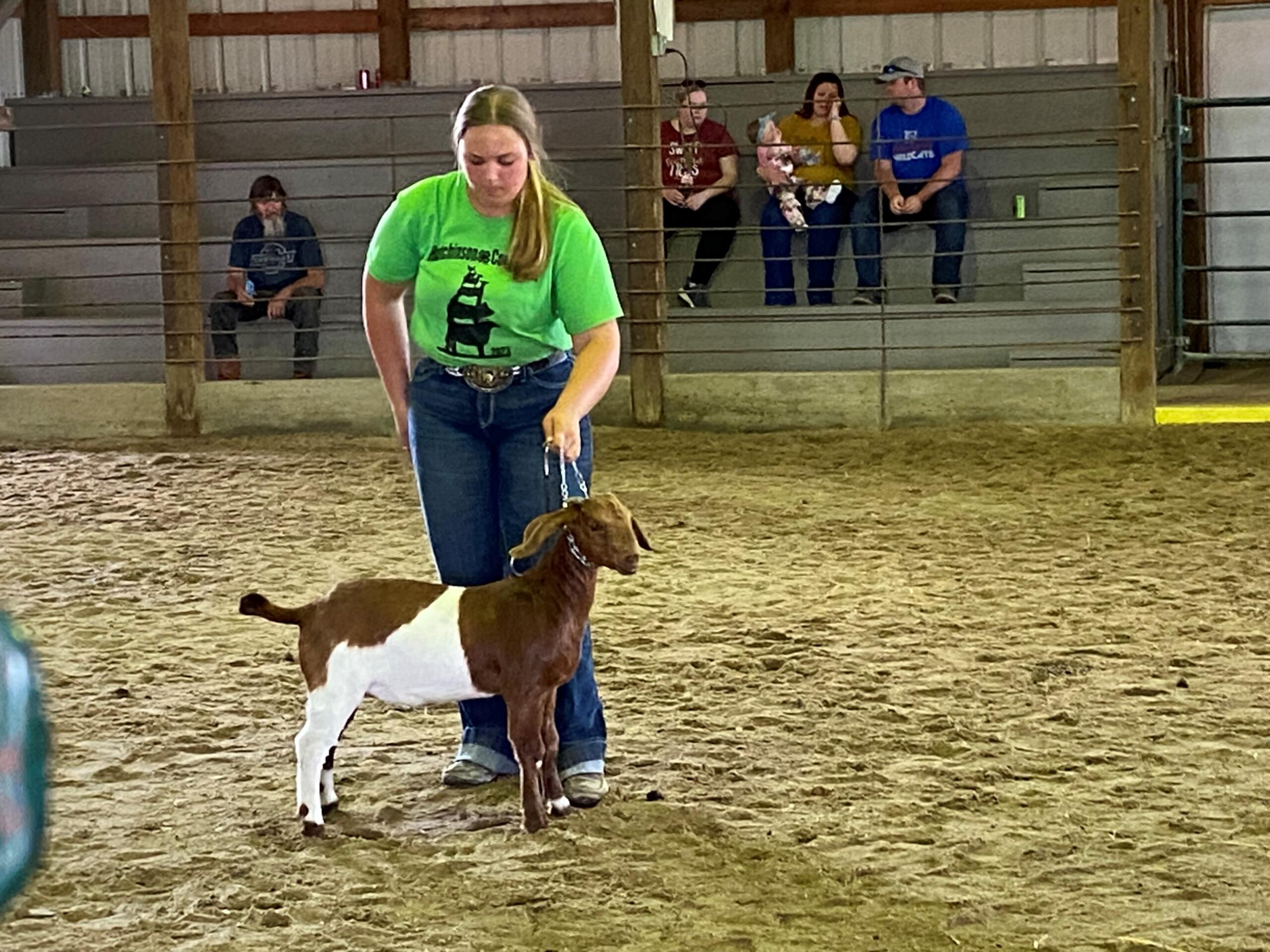 Hutchinson County Fair 2023 - Mitchell Now
