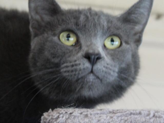 KMIT 105.9 FM | Hot Country